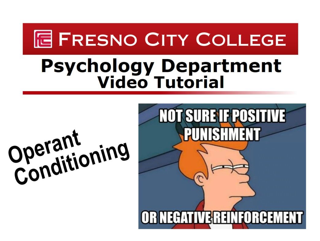 Operant Conditioning: Positive Punishment or Negative Reinforcement