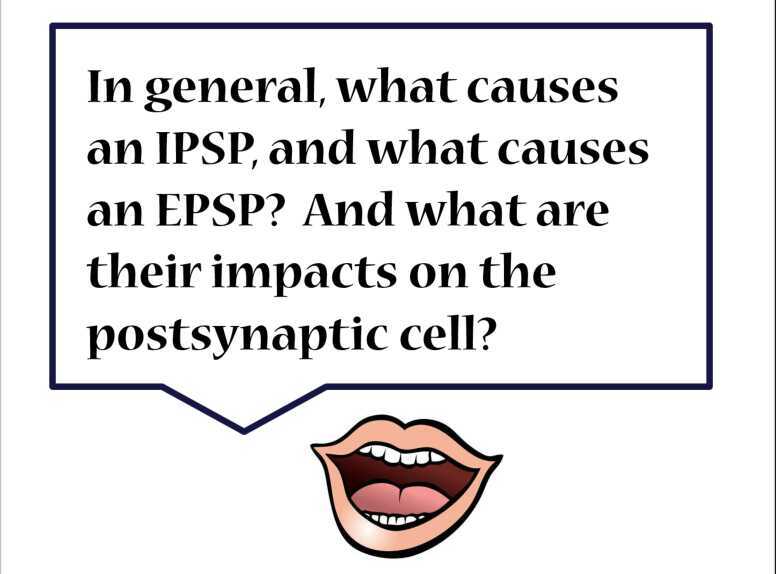 EPSP & IPSP