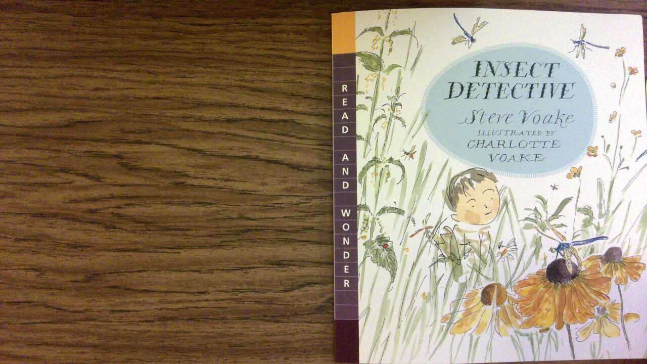 Insect Detective day 1