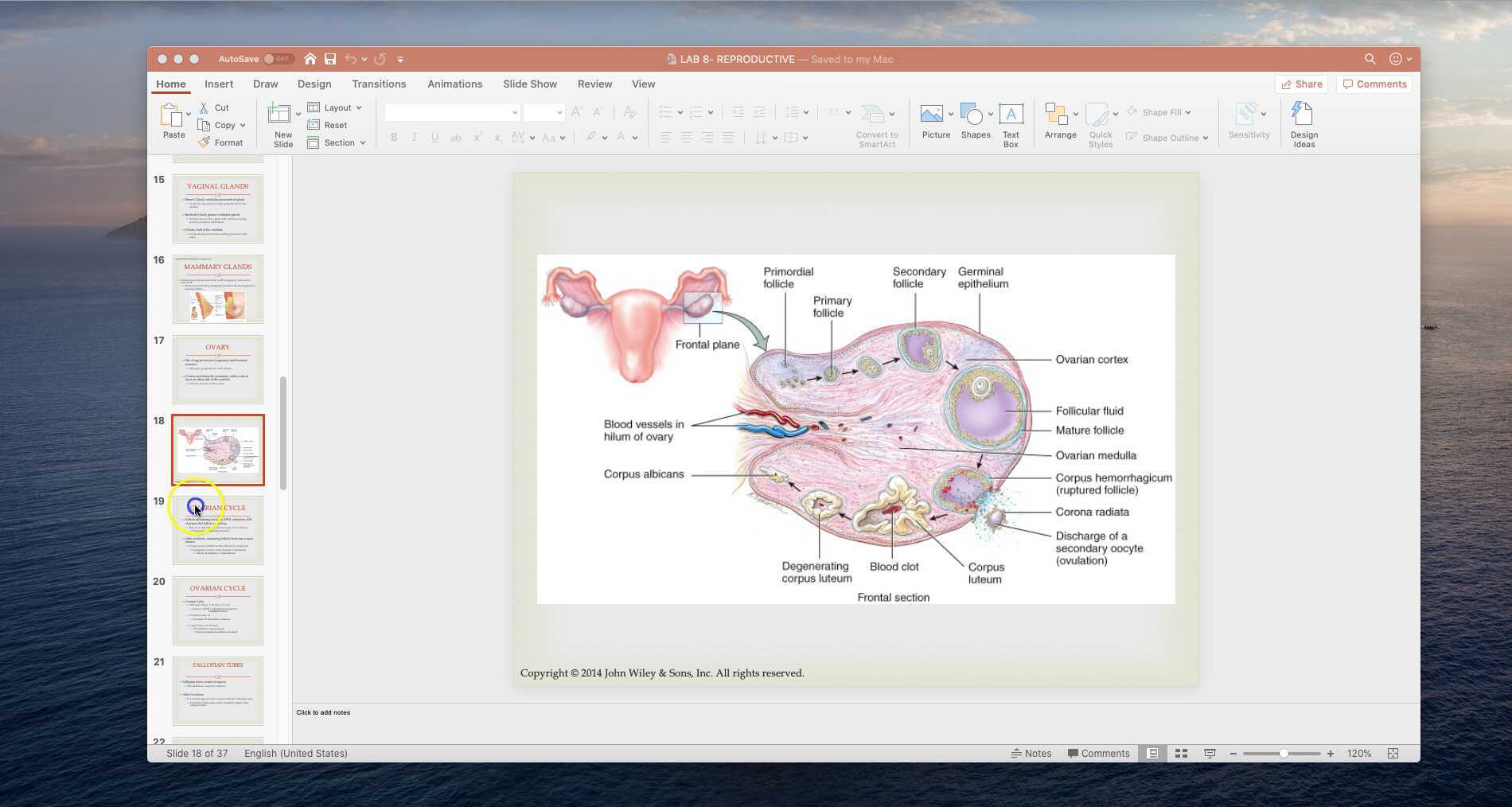 Lab 10 - Reproduction 4