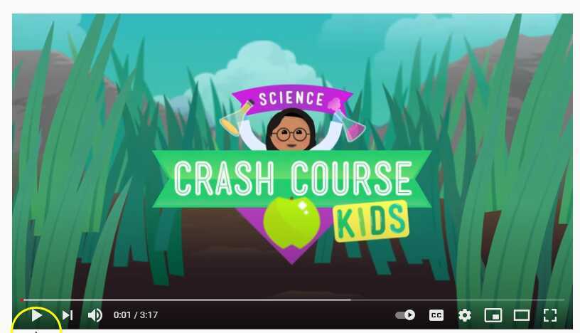 Crash Course Kids- Variables