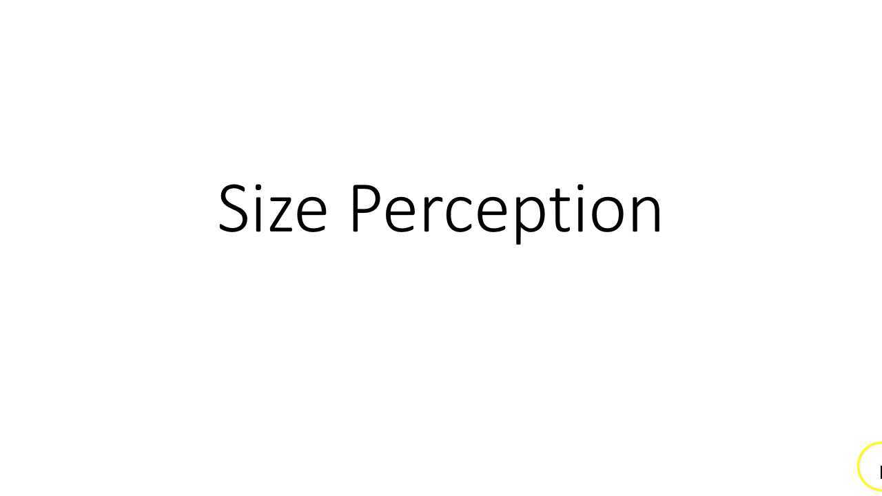 Size Perception Review Plus