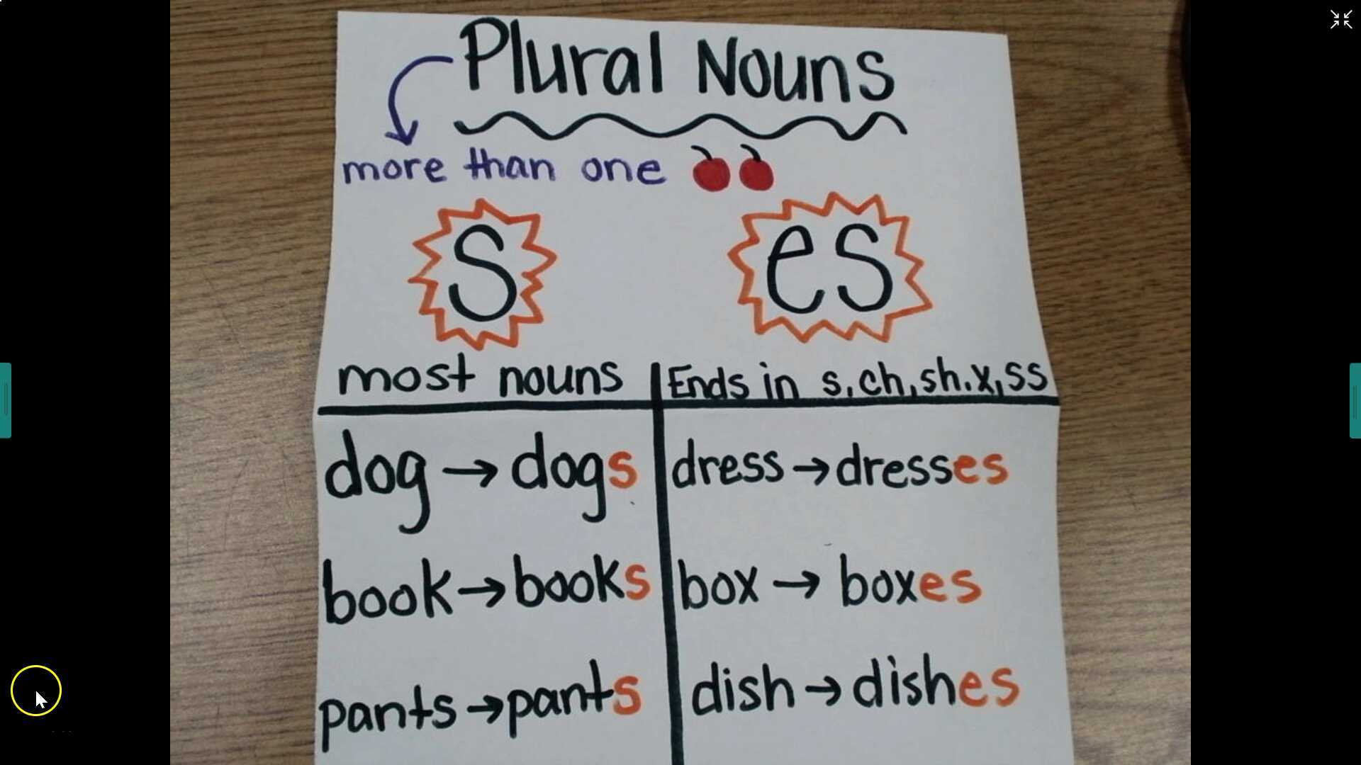 Plural Noun Review