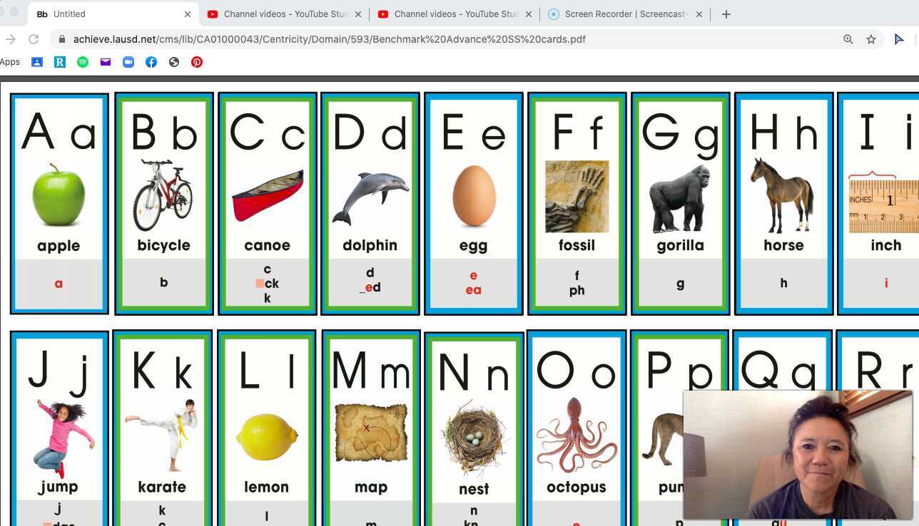 benchmark sound spell cards with teacher #2