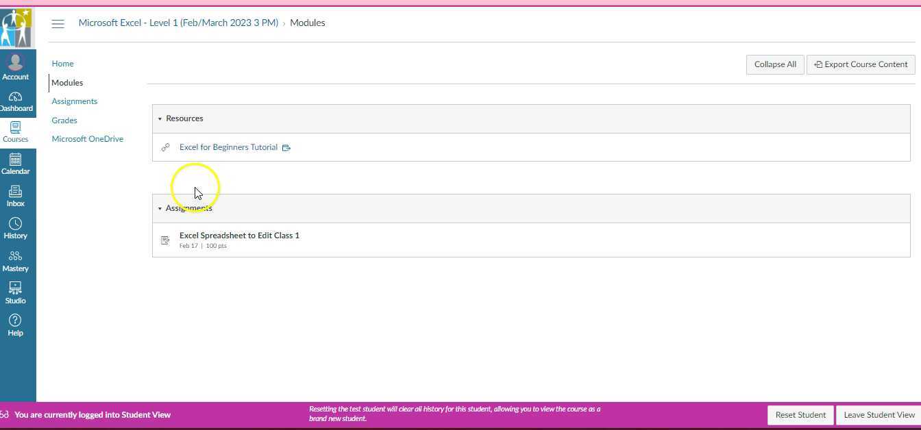 Submitting Assignments in Canvas