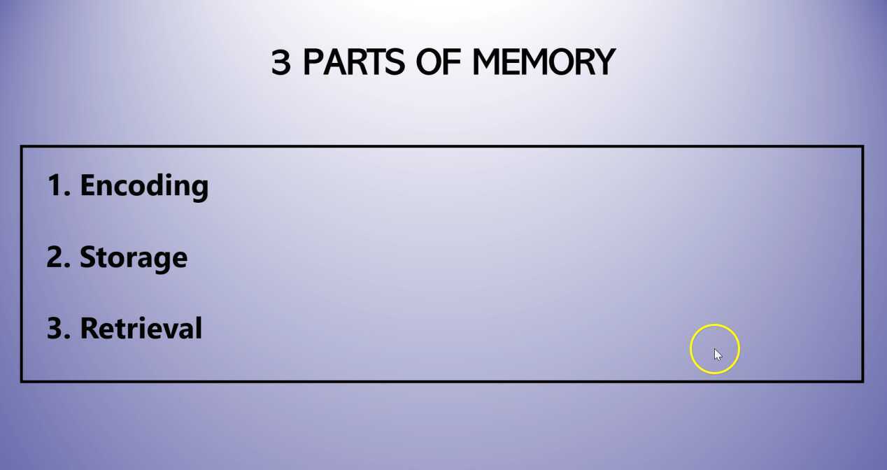 3 Parts of Memory