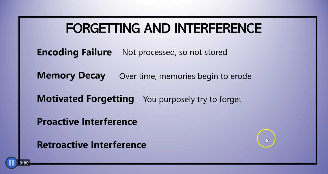 Forgetting and Interference