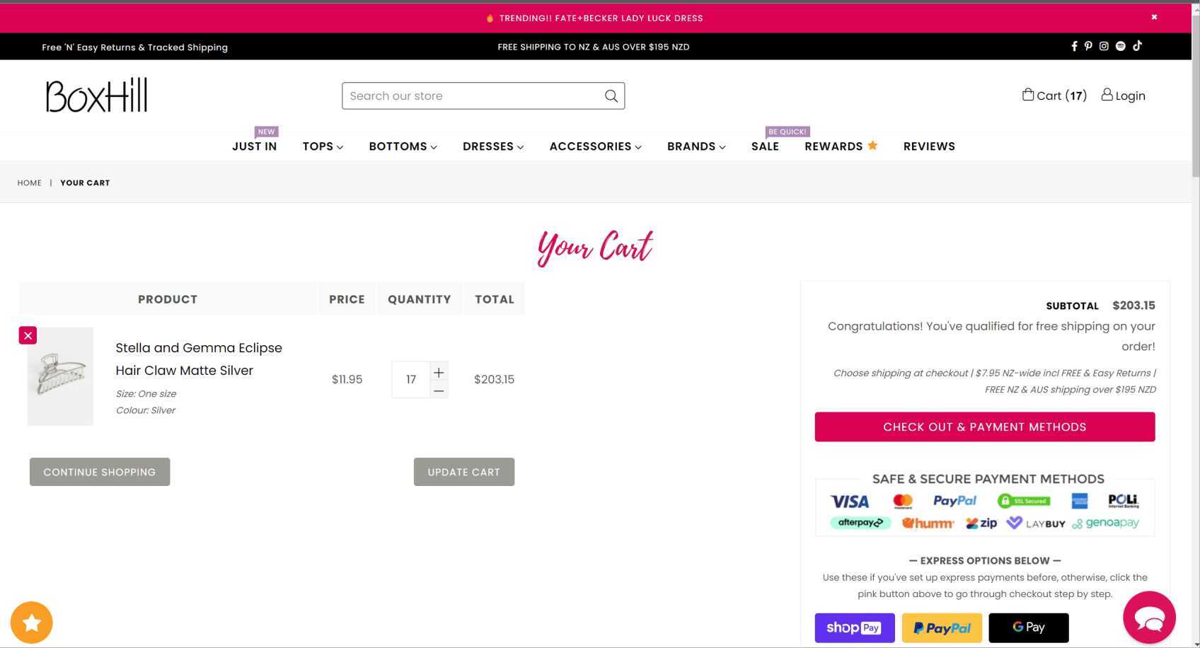 Free Shipping Progress Bar