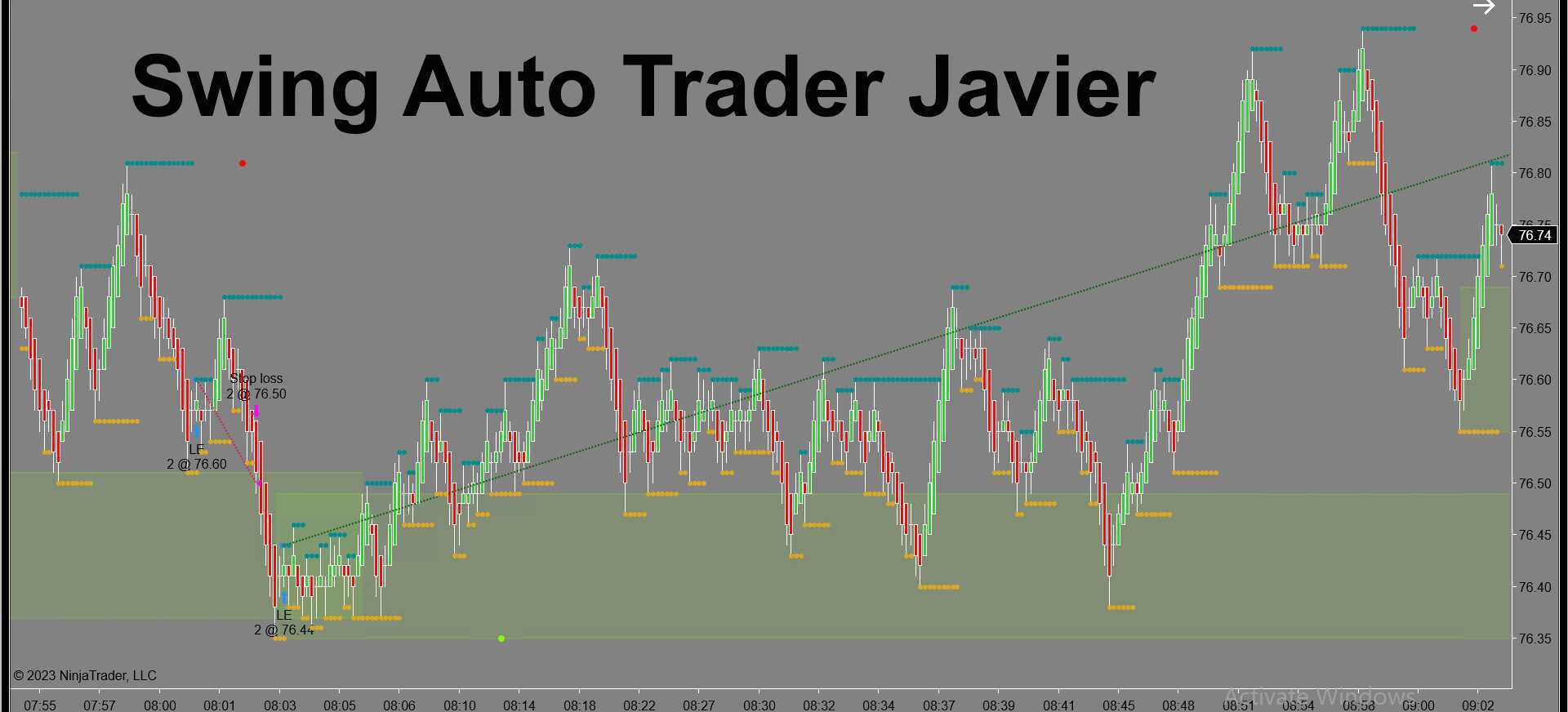 Order Flow Auto Trader based on SWING