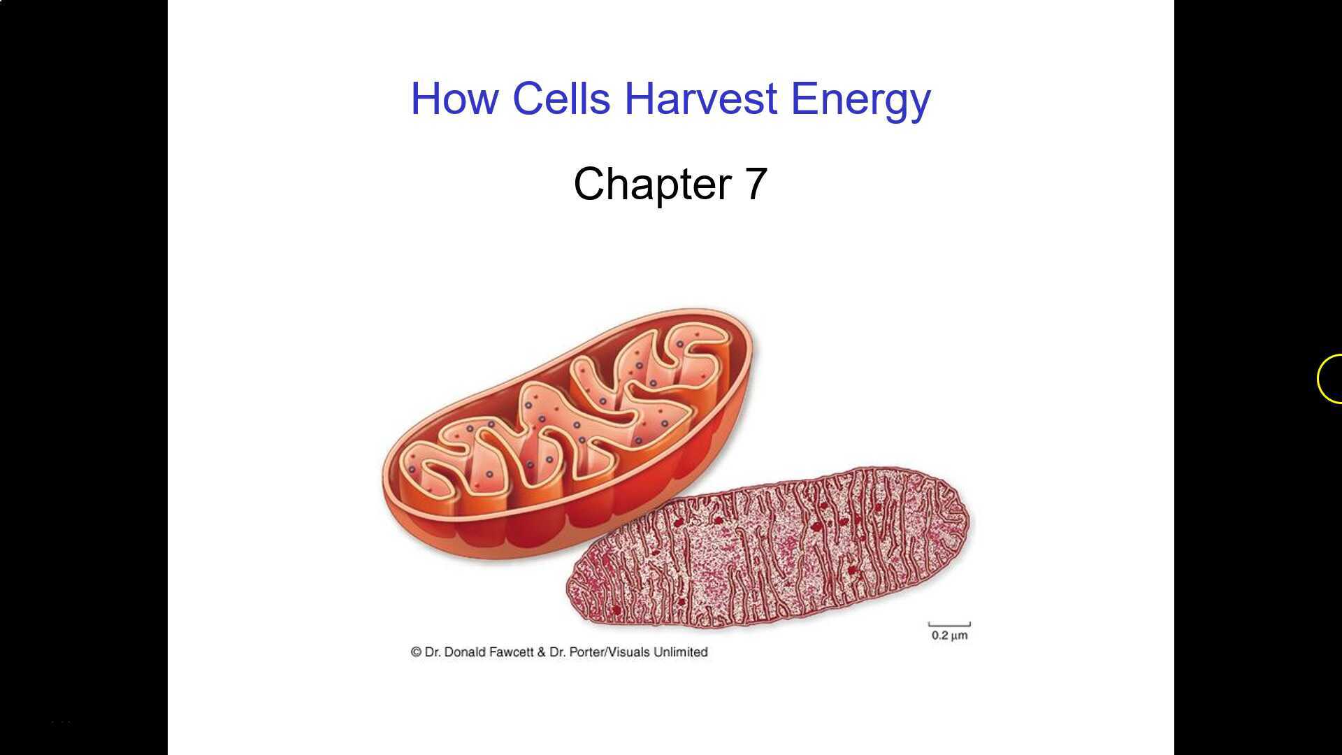 141 INTRO to Chapter 7: What to review before we begin