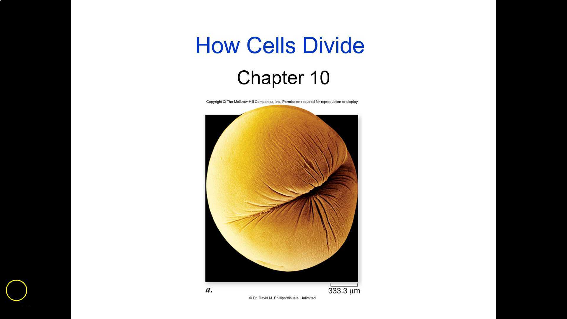 141 Ch. 10 How Cells Divide - Bacterial Binary Fission