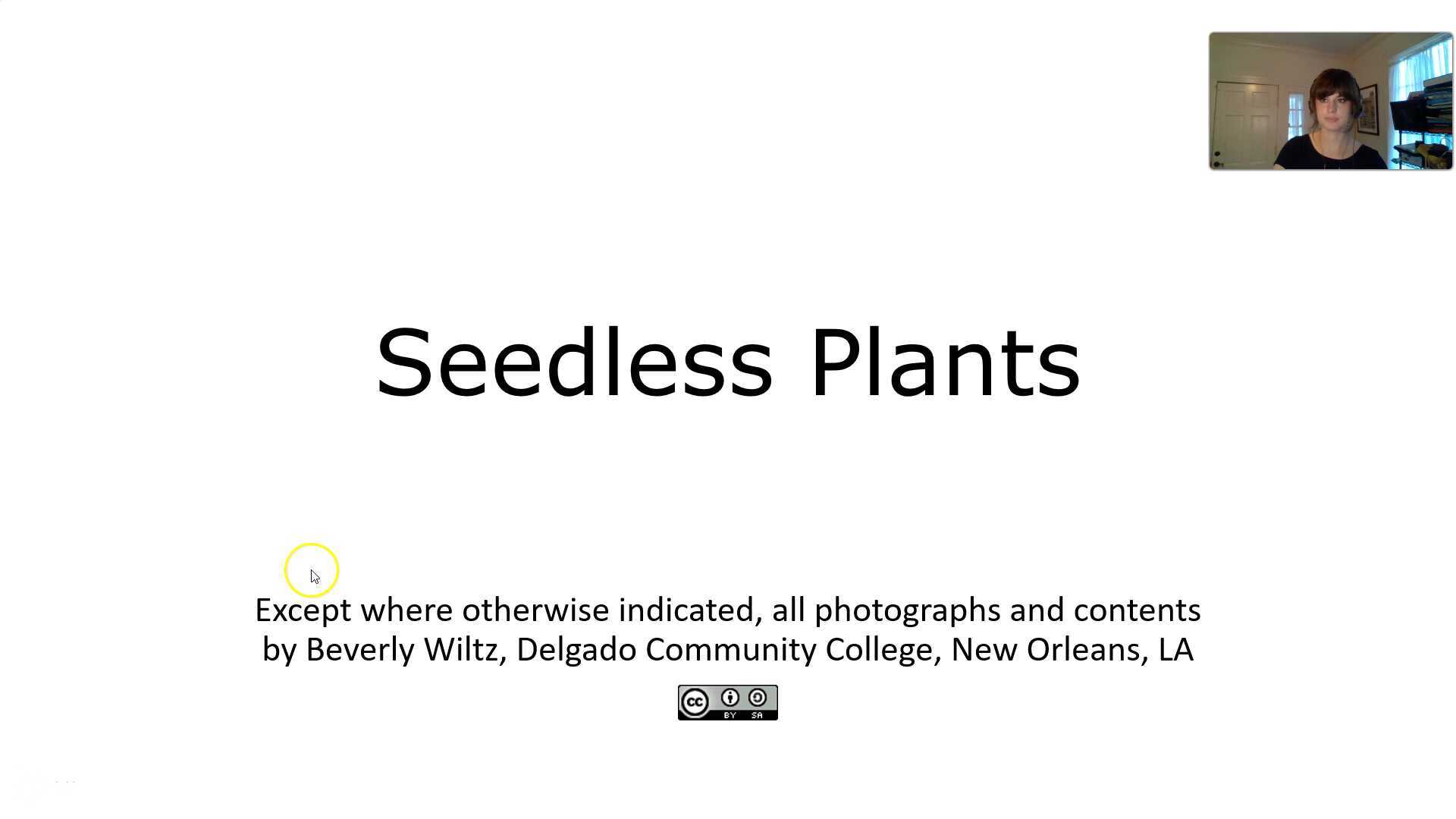 Seedless plants pt. 1
