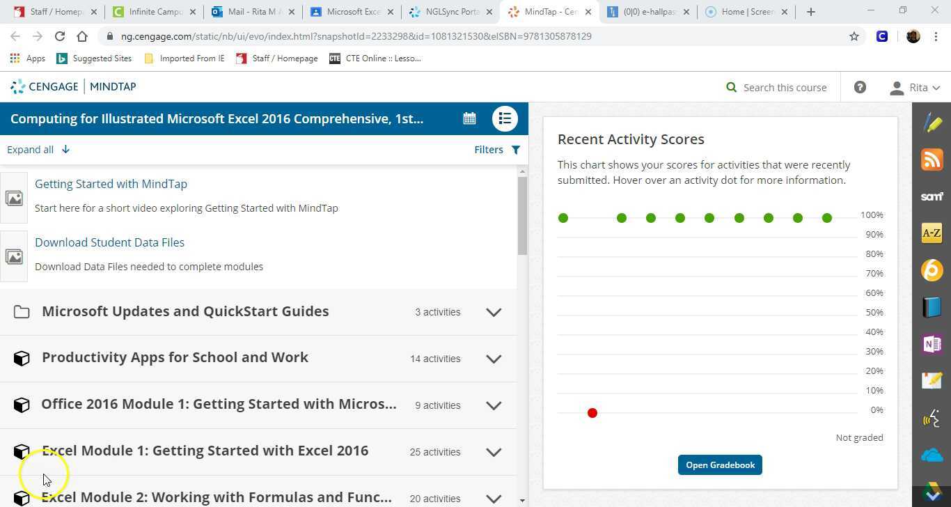 Excel 2016 Module 9 Project 1