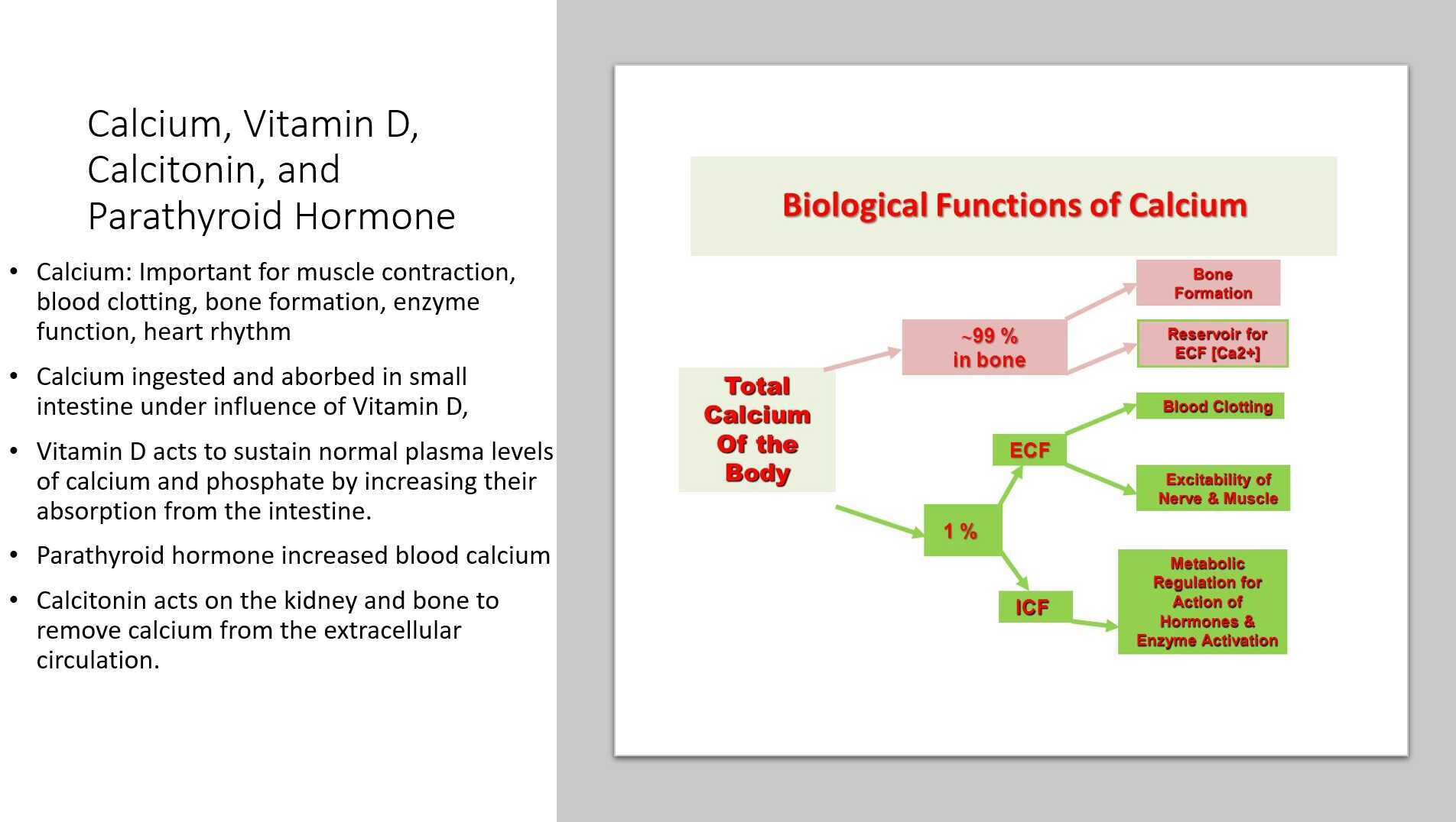 FEAB 13 Calcium Imbalances