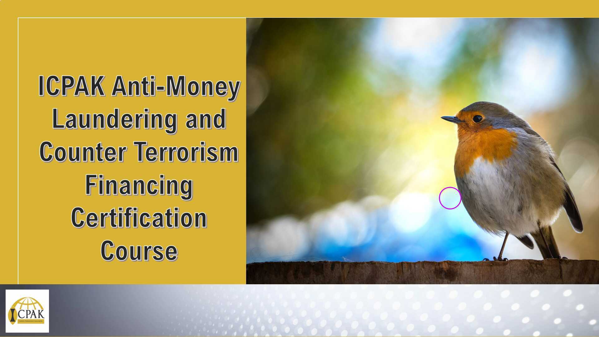 ICPAK Certification_Test