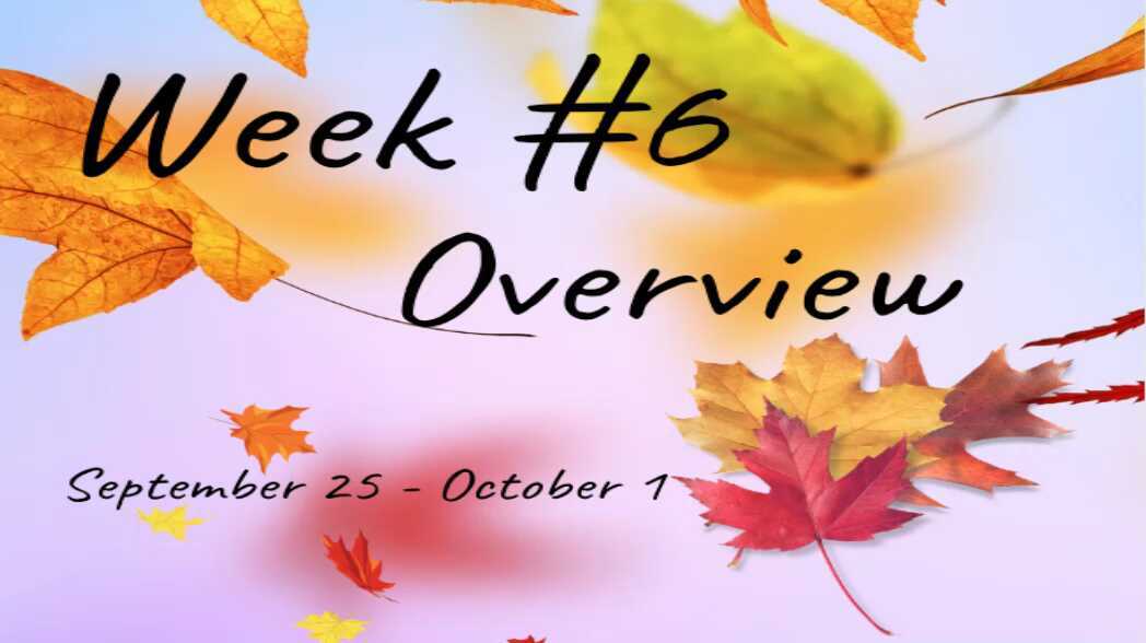Week 6