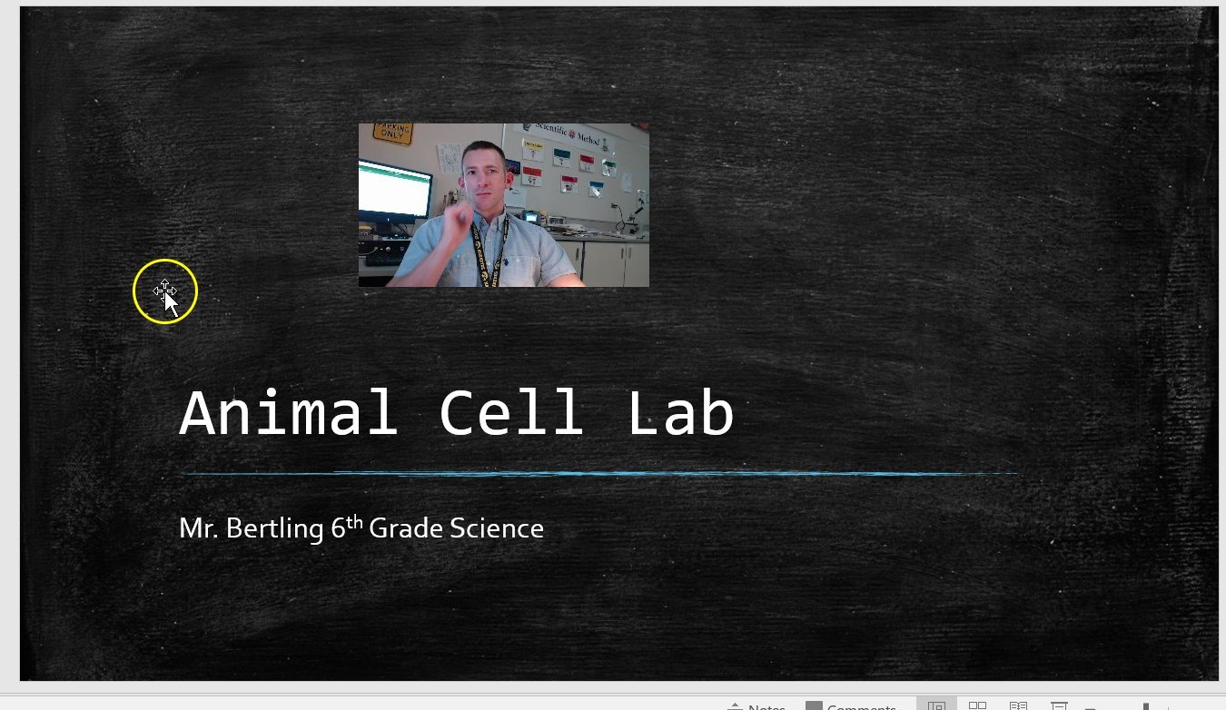 Animal Cell Lab Prep
