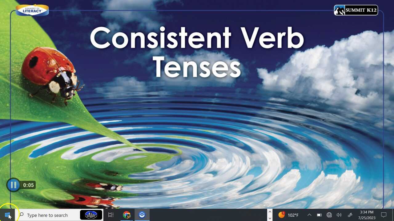 TEKS Editing 8.10D(ii)