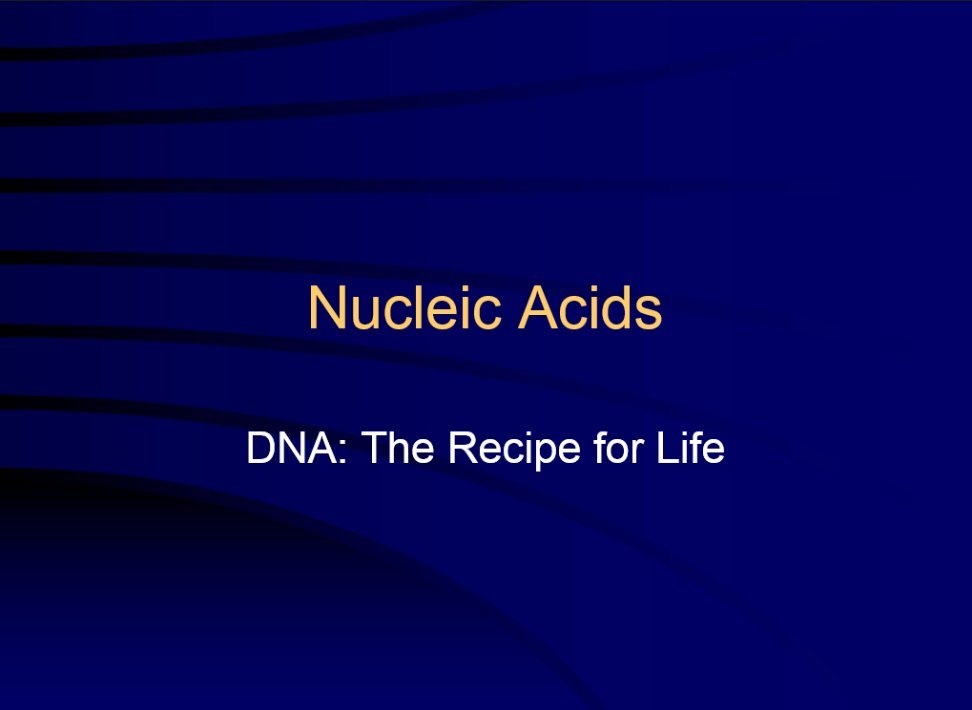 Nucleic Acids Genetics 1