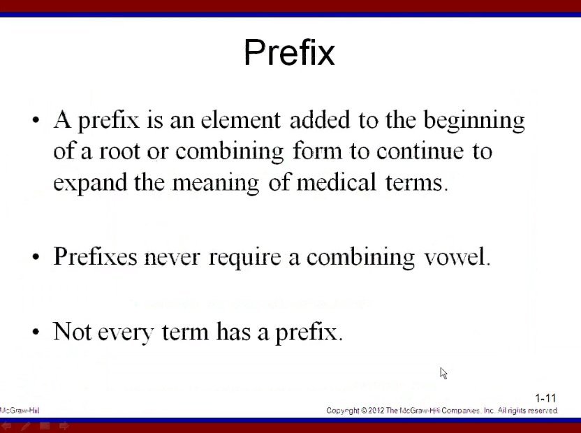 Ch. 1 Prefixes NEW