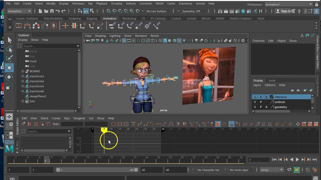 Project 01 - Rig Controls Overview