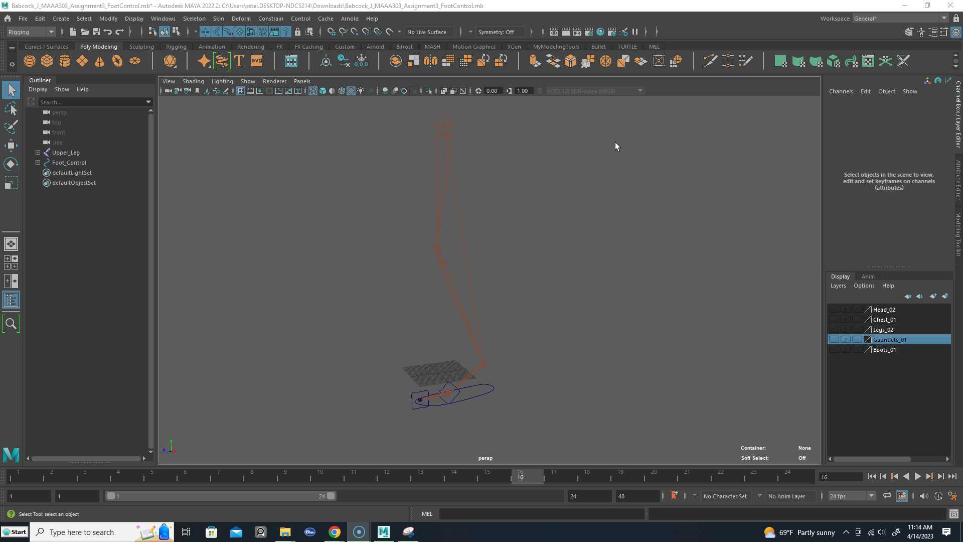 Simple Foot Rig Review