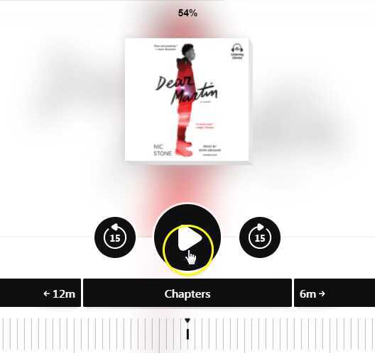 Dear Martin chapters 13-16