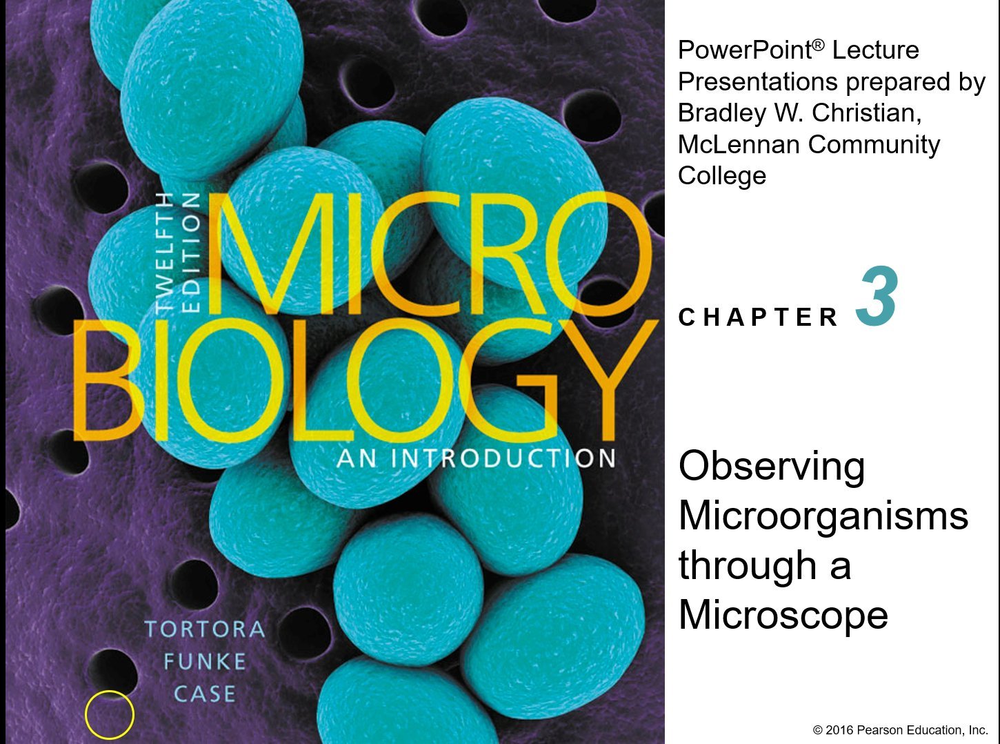 Observing Microorganisms - Part 1