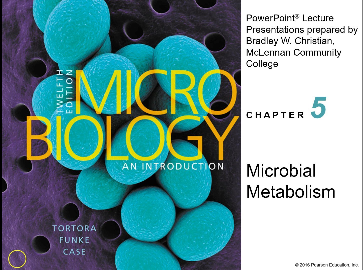 Microbial Metabolism - Part 1