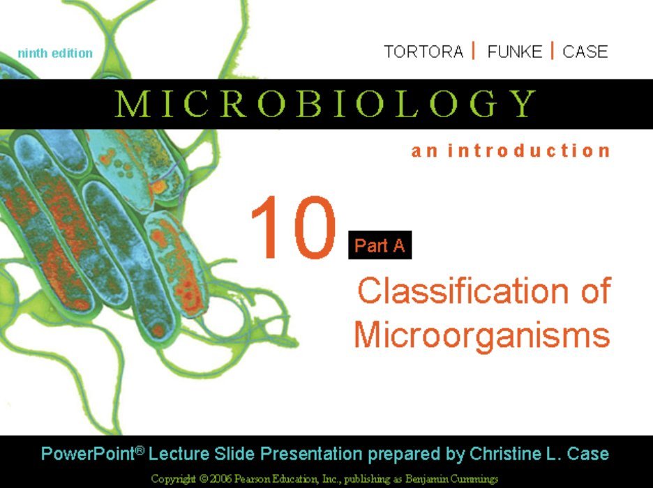 Classification of Microorganisms - Part 1