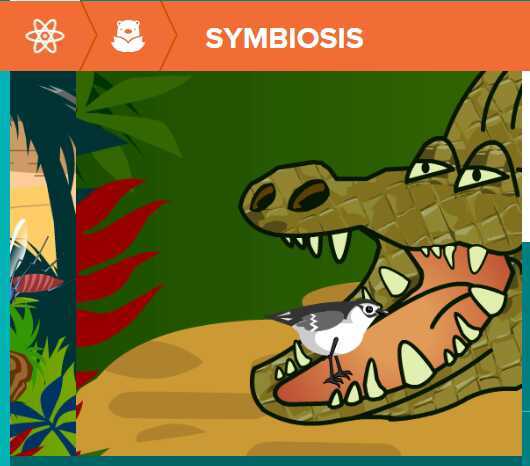 Brainpop - Symbiosis