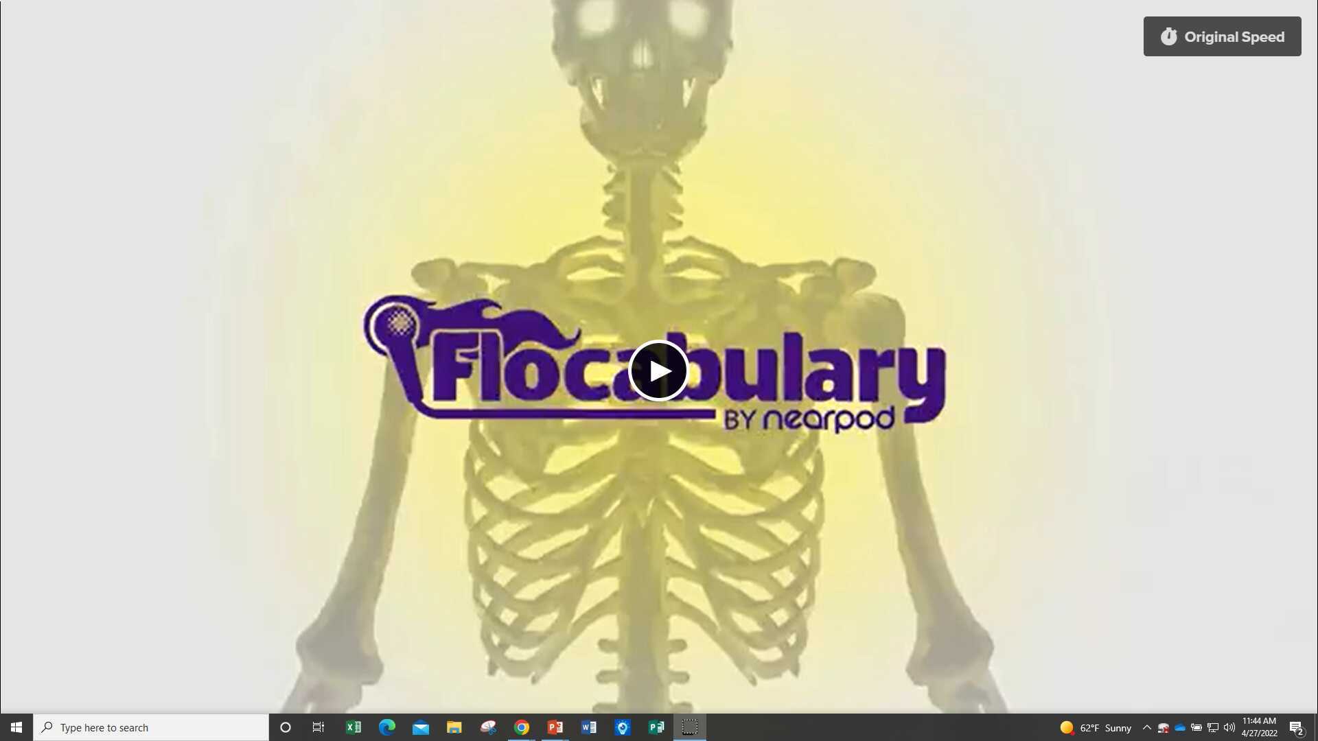 Flocabulary - Skeletal System