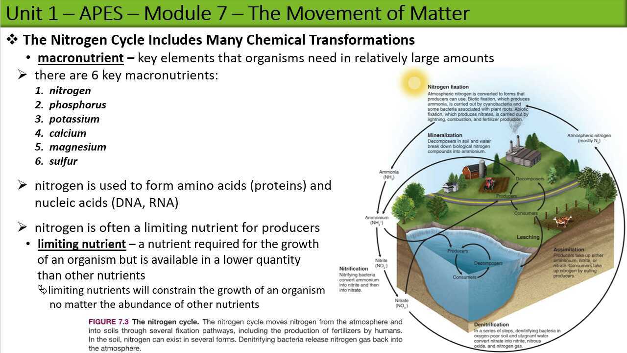APES - Unit 1 - Module 7 - part 2 - Nitrogen, Phosphorus, and Sulfur Cycles