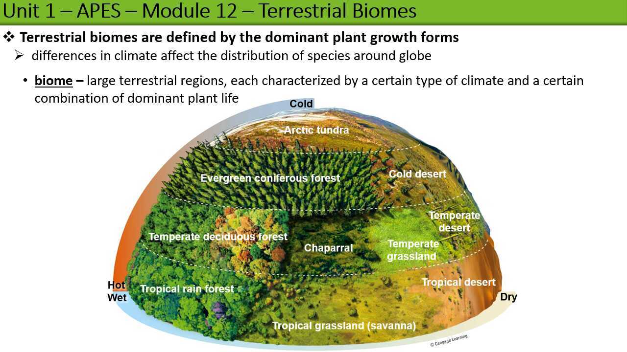 APES - Unit 1 - Module 12 - Terrestrial Biomes