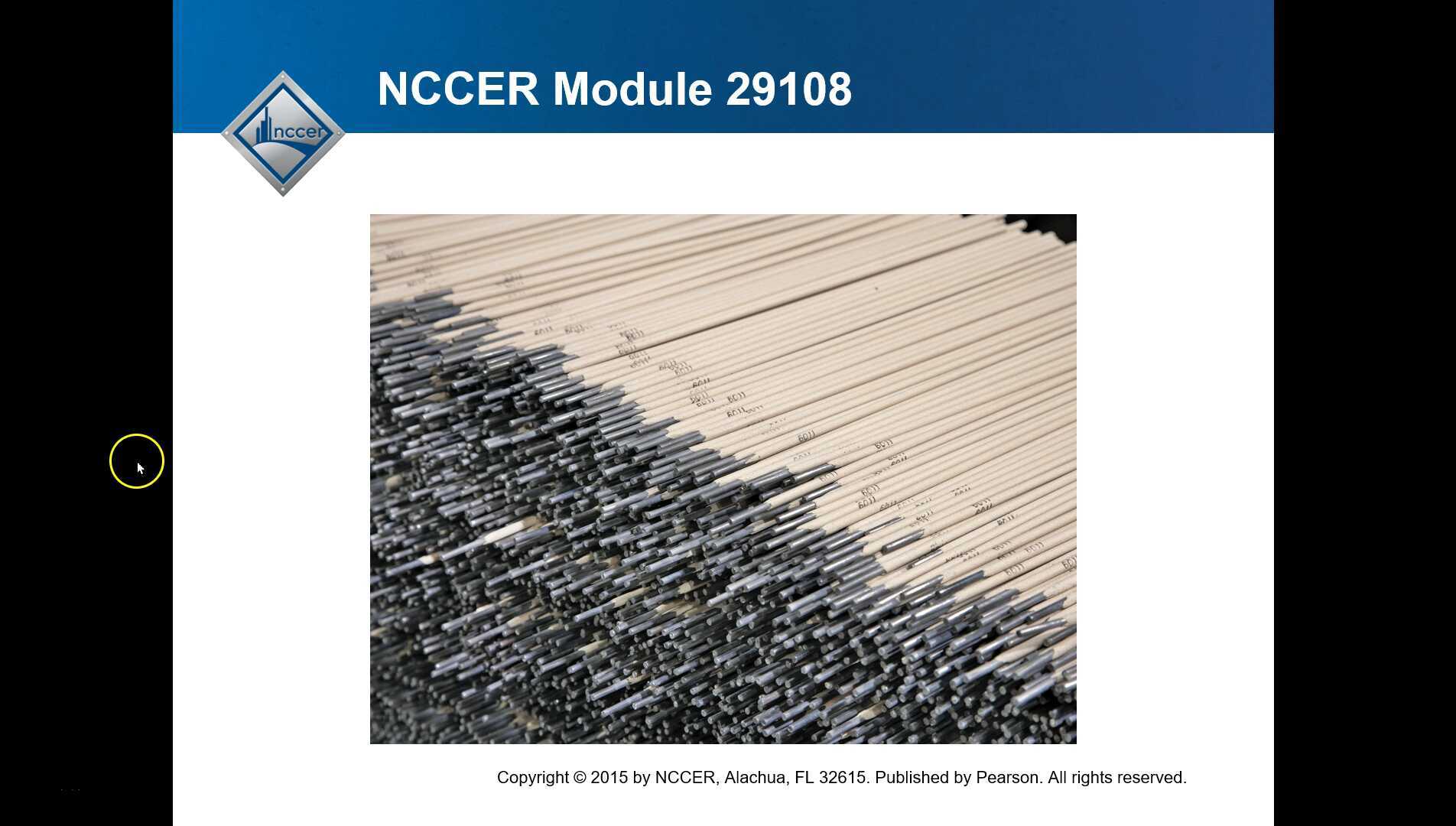 Level 1 Module 8 Electrodes