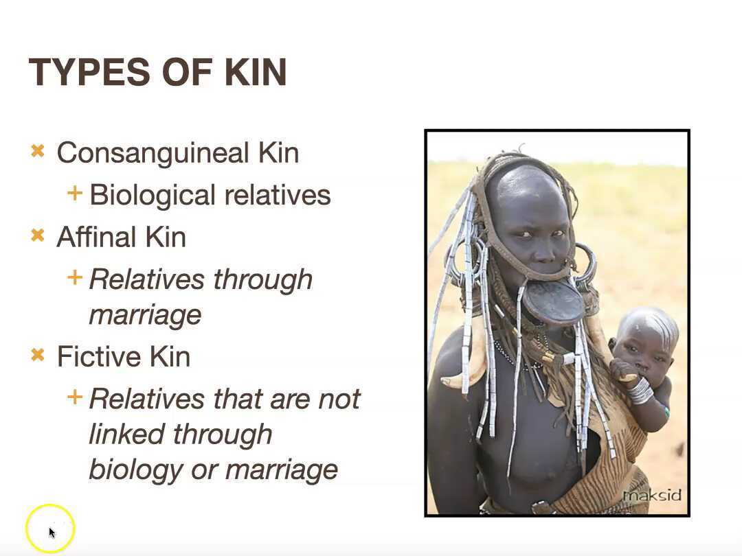 Understanding Kinship Relationships