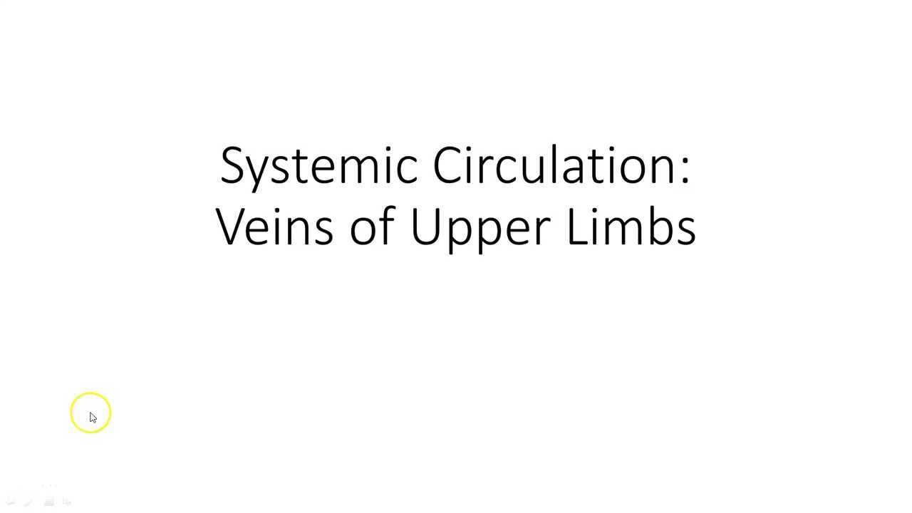 Blood Vessel ID - veins of upper and lower limbs
