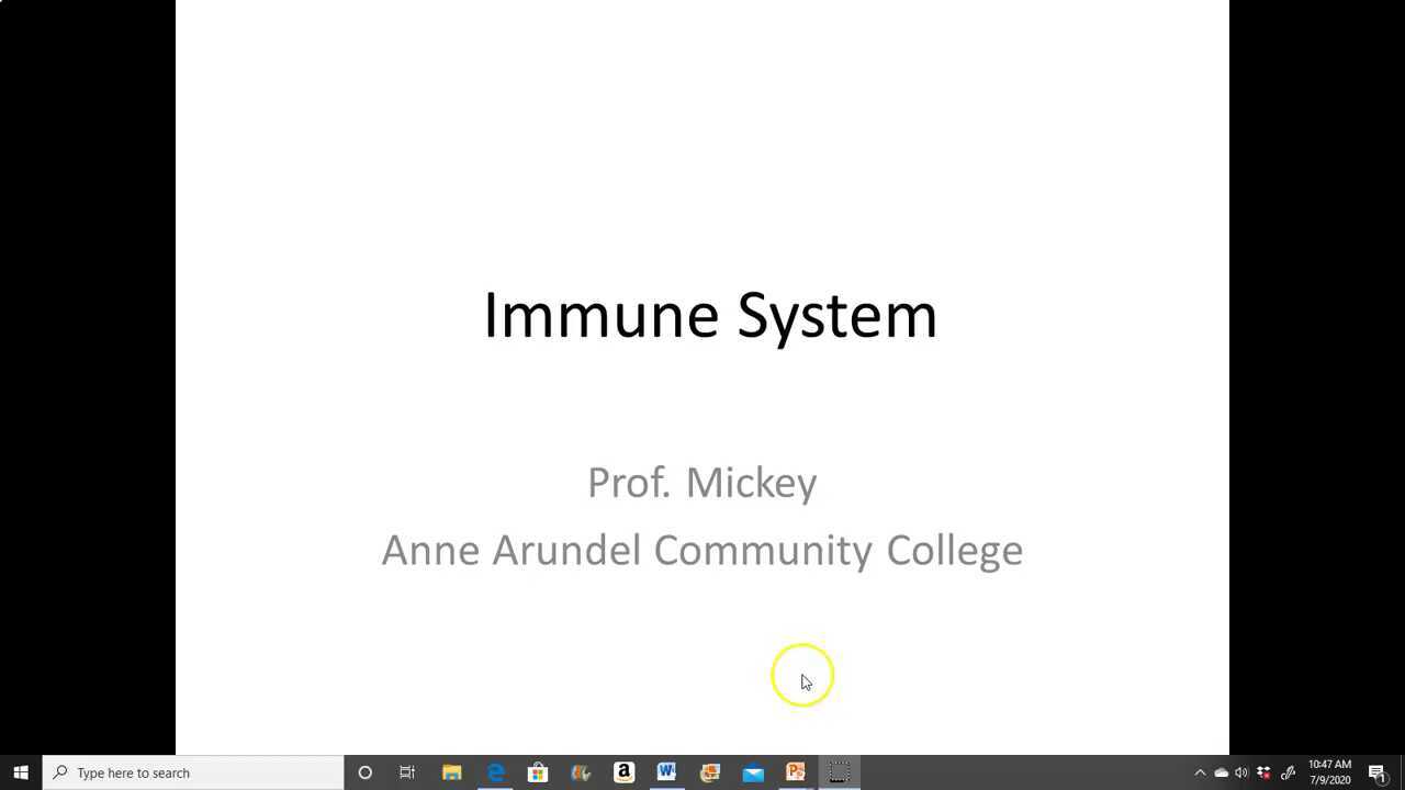 Immune System - part 1