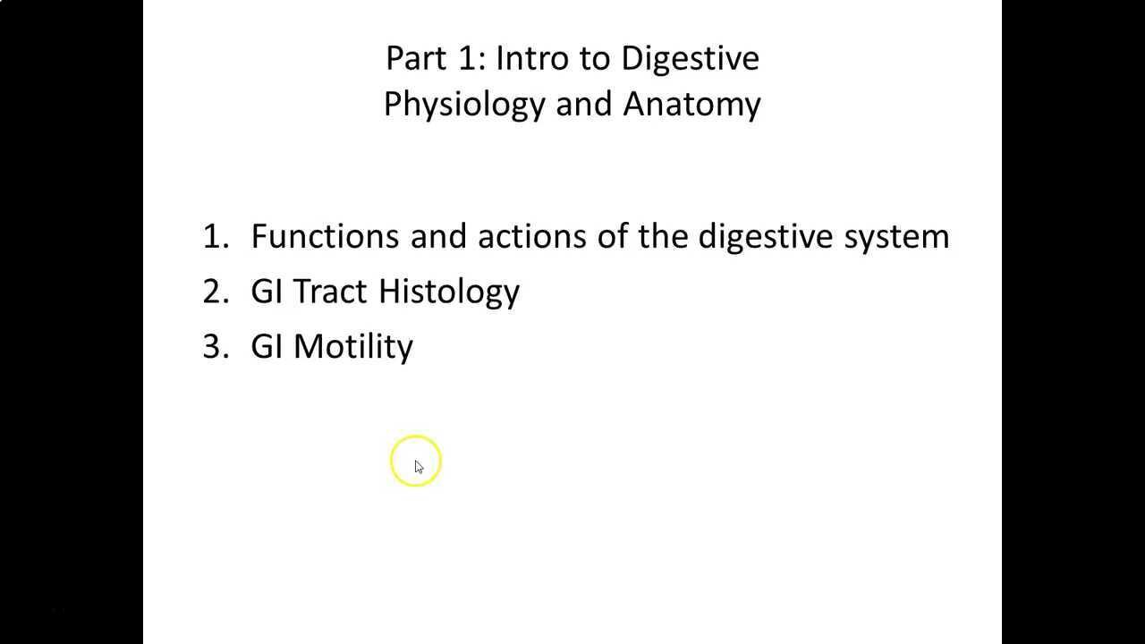 Digestive Physiology - part 1