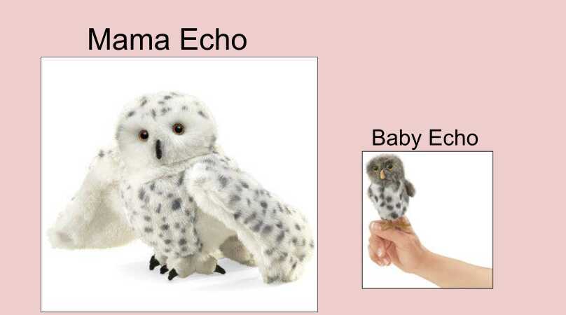 Meet Mama Echo and Baby Echo