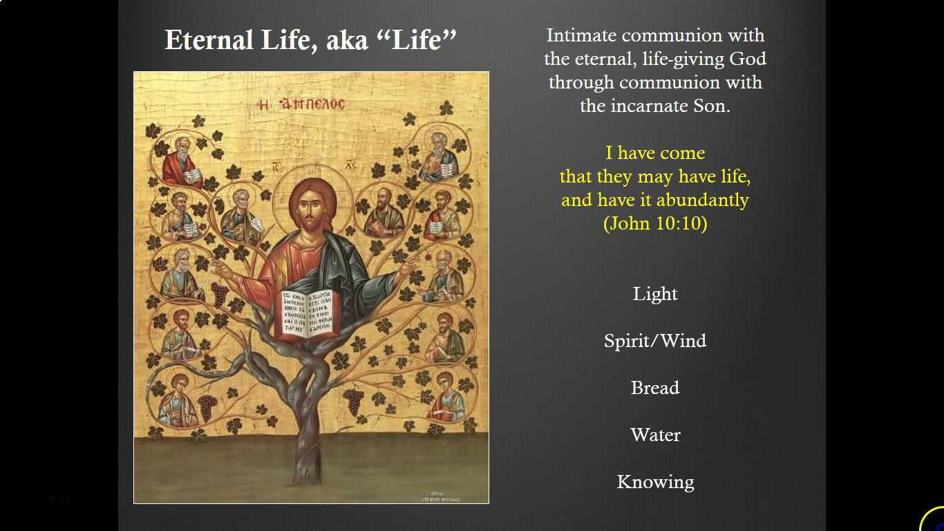 Introduction to John, Part 4