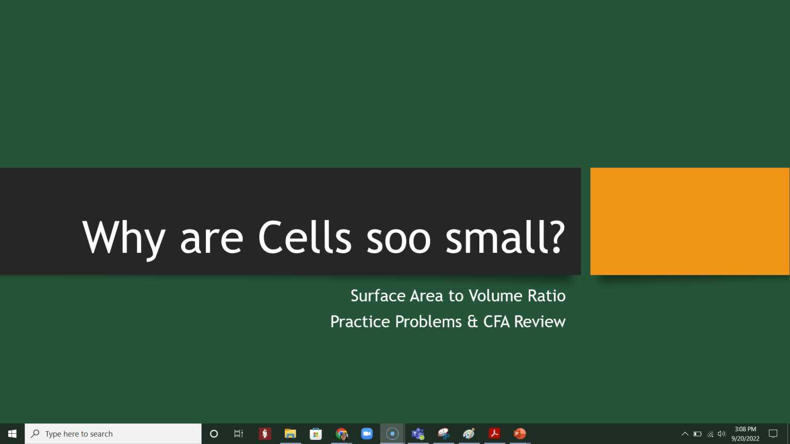 Why are Cells so Small?