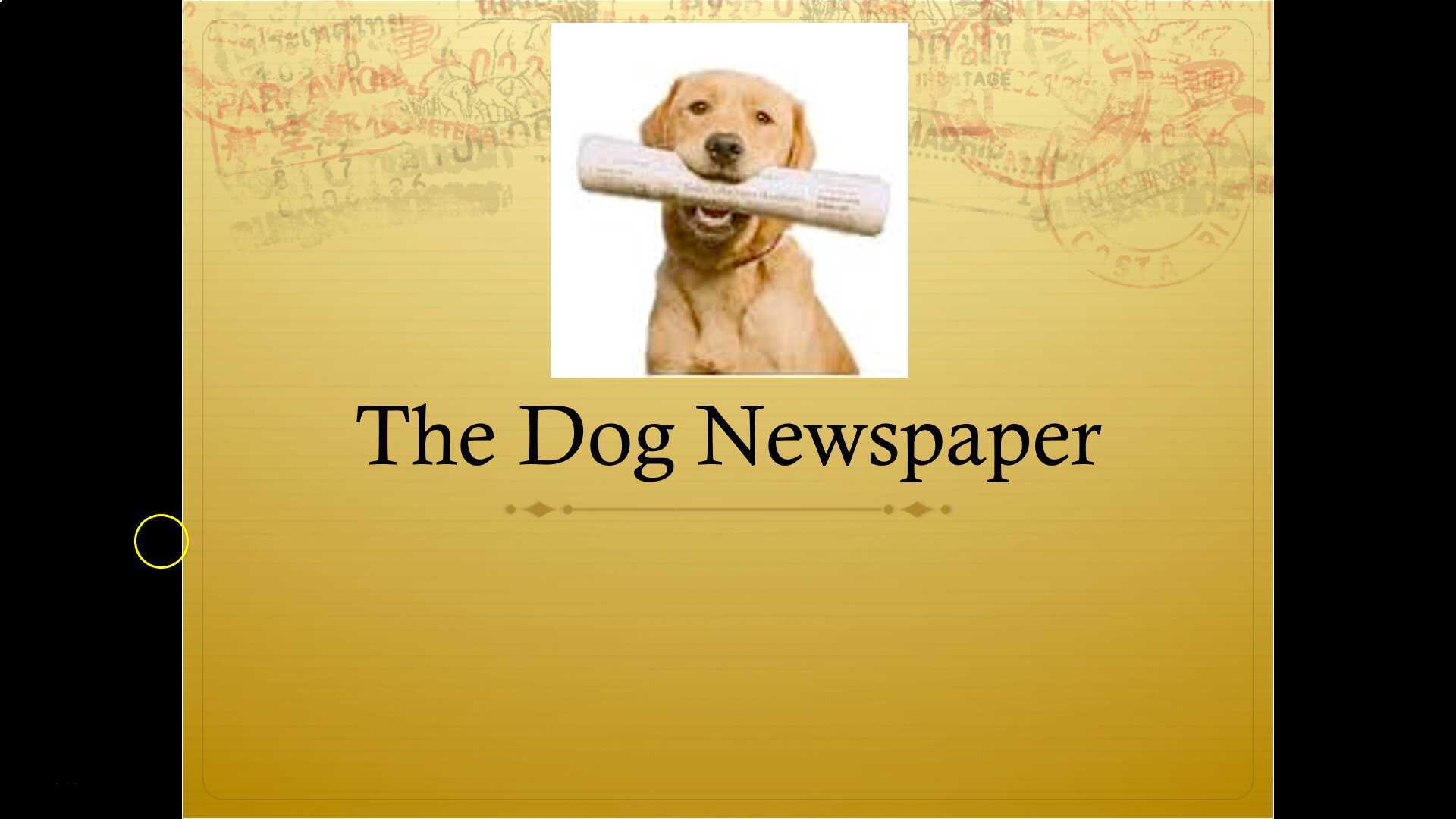 The Dog Newspaper Vocabulary