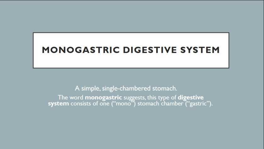 Monogastric Digestive System