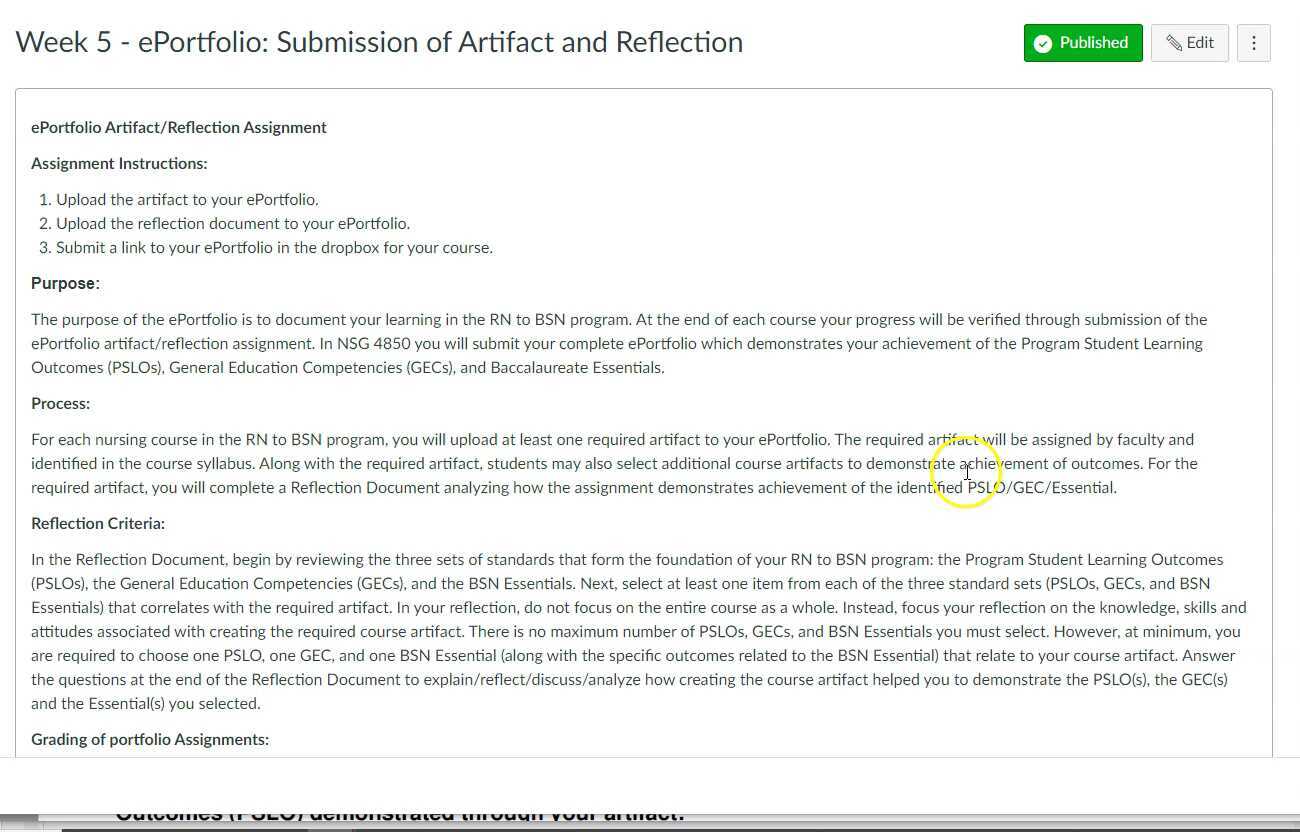 NSG 4410 Reflection Tutorial