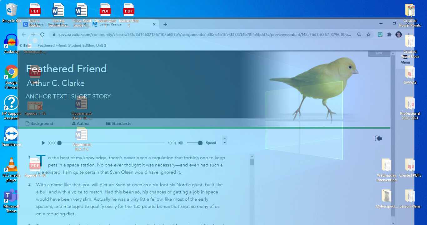 Audio Feathered Friend