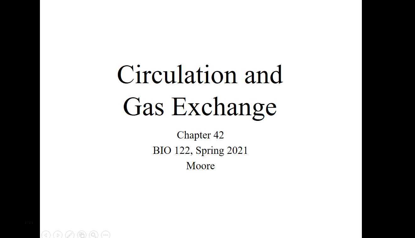 chapter 42 - circulation and gas exchange