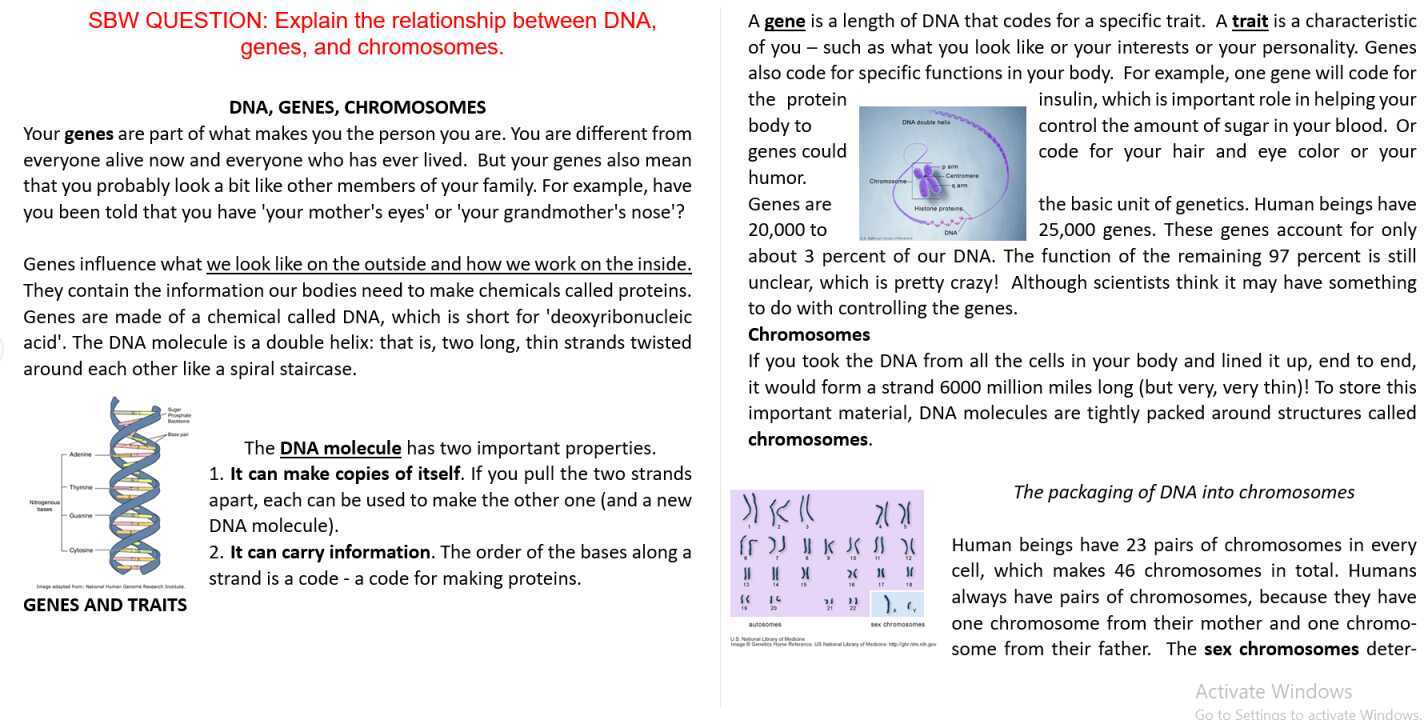 DNA, Genes, Chromosomes