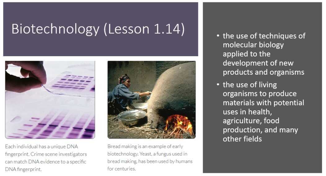 Biotechnology and Genetic Engineering (Lessons 1.14 and 1.15)