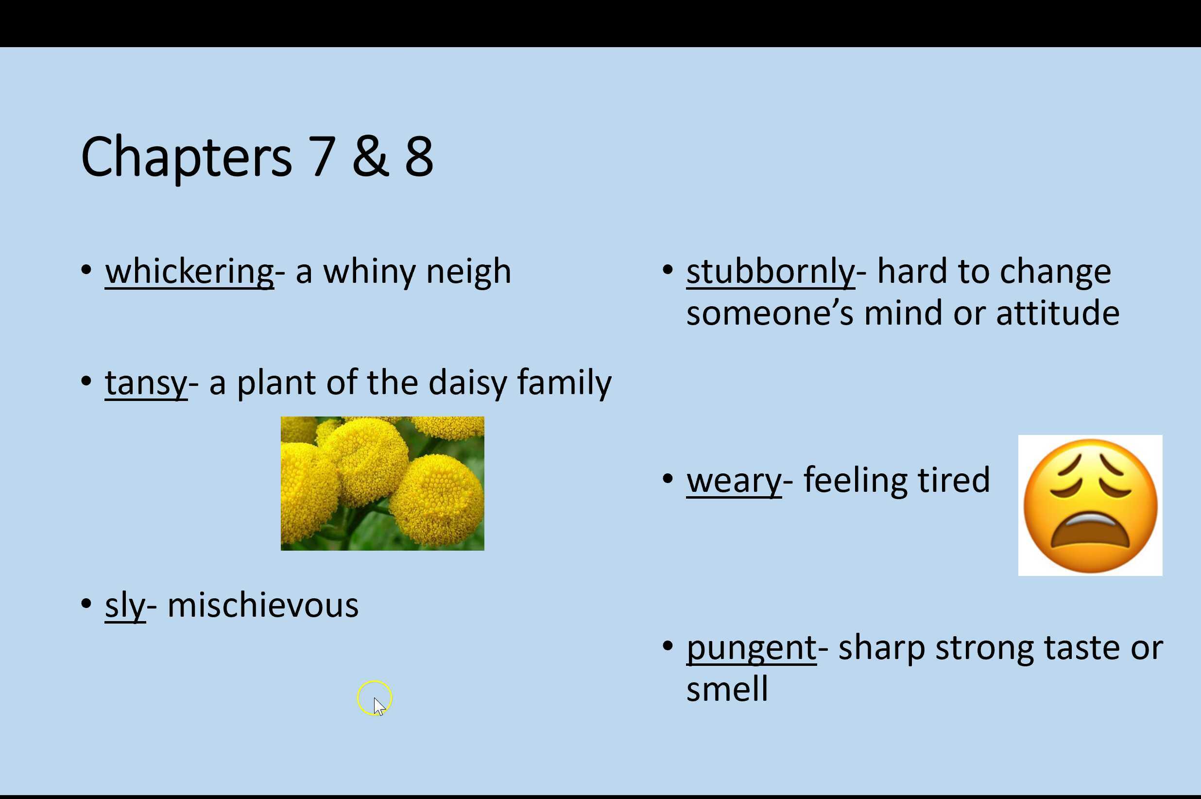 Sarah, Plain and Tall Vocab7-8